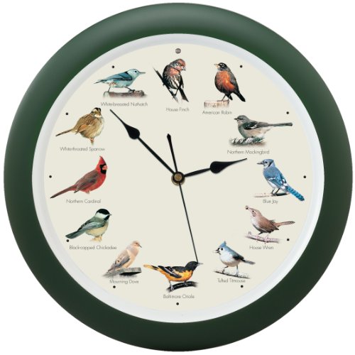The Original Singing Bird Wall Clock, 13 Inch, Green – Addison and ...
